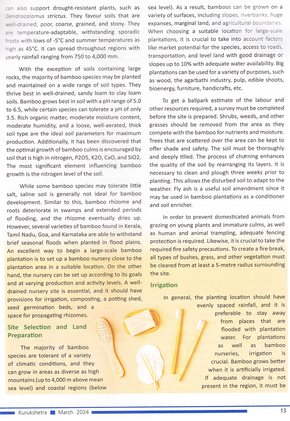 Kurukshetra : Bamboo Farming Growing Methods and Reaping Benefits - AFEIAS Kurukshetra : Bamboo Farming Growing Methods and Reaping Benefits - AFEIAS